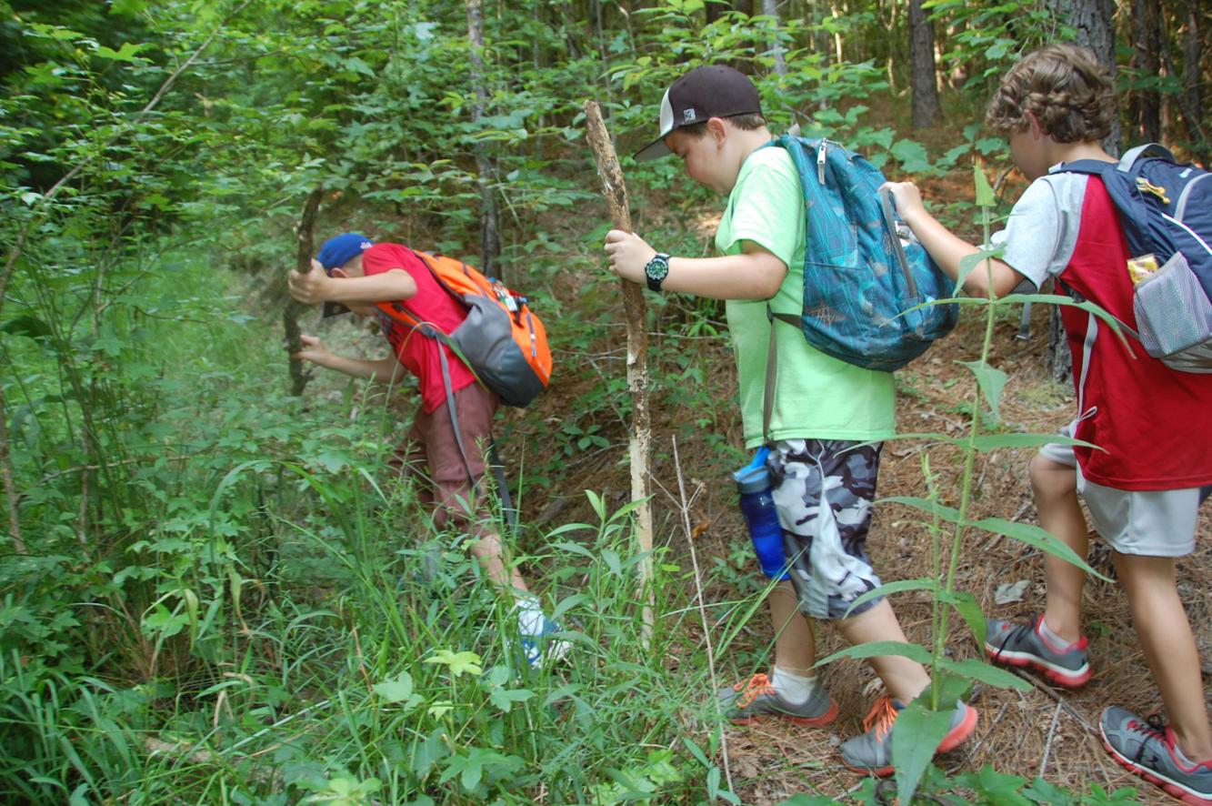 Summer hikes, kid camping best with basics | Sports | djournal.com