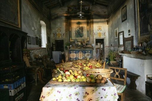 Italian fruit detective racing to save forgotten varieties | News ...