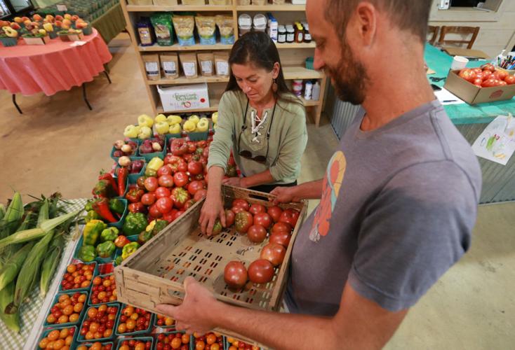 Native Son Farm has bumper crop of heirloom tomatoes | Food | djournal.com