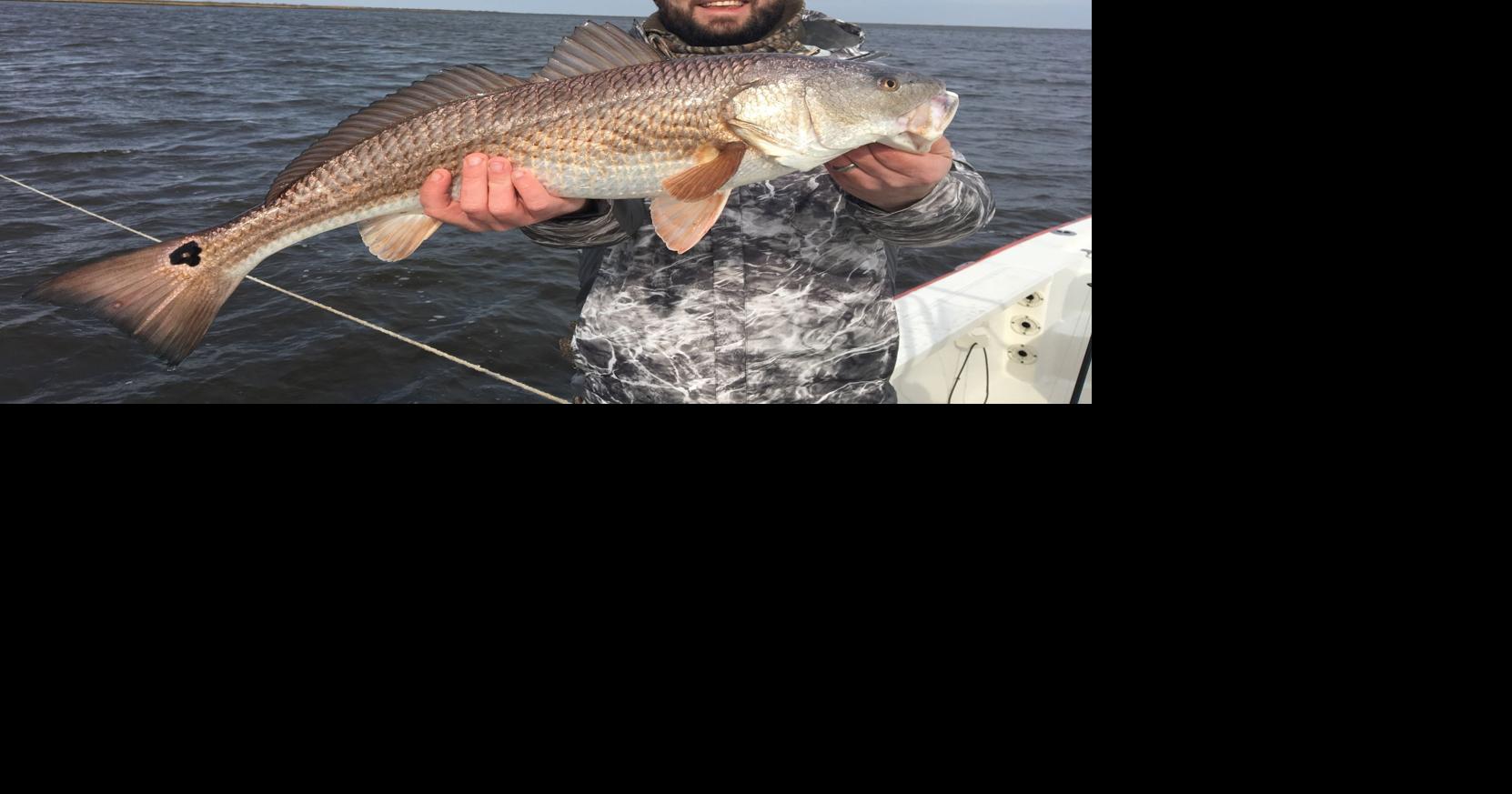 Moving fronts accelerate redfish bite | Outdoors | djournal.com