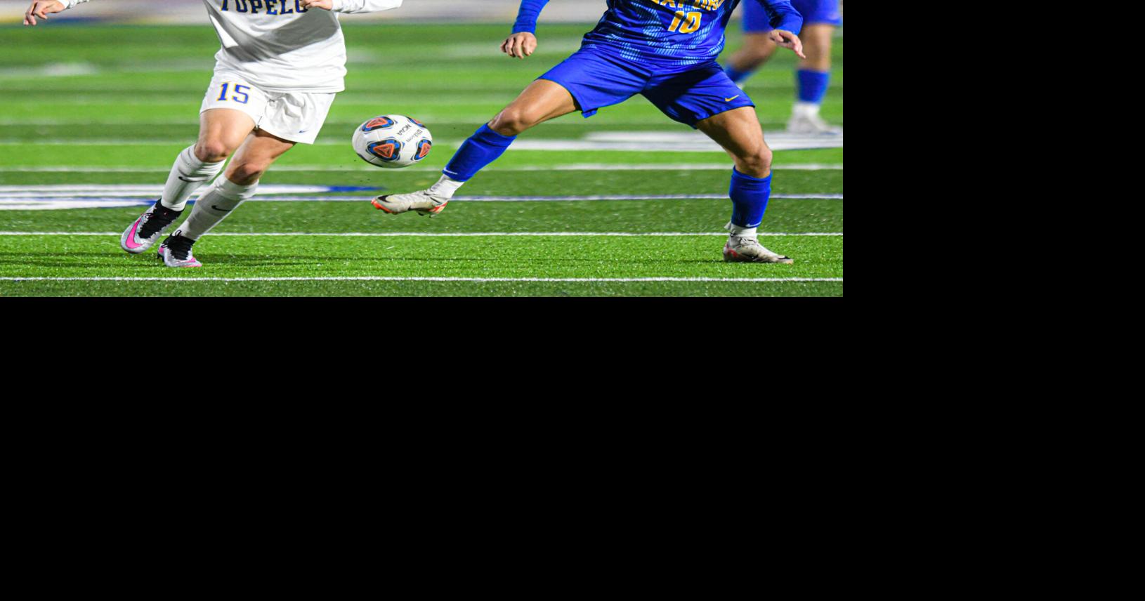 MHSAA soccer playoffs: Semifinals | High school Sports | djournal.com