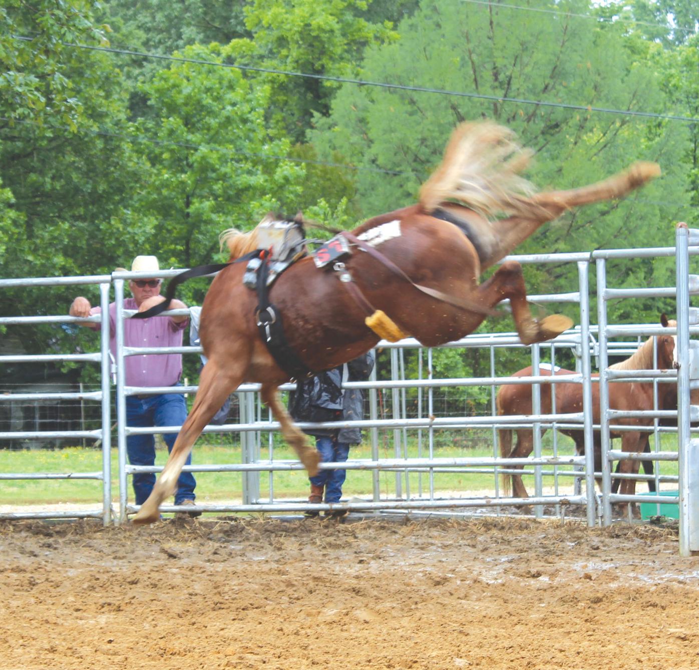 Colt Bucking Competition offered equine action, barbecue and gospel ...