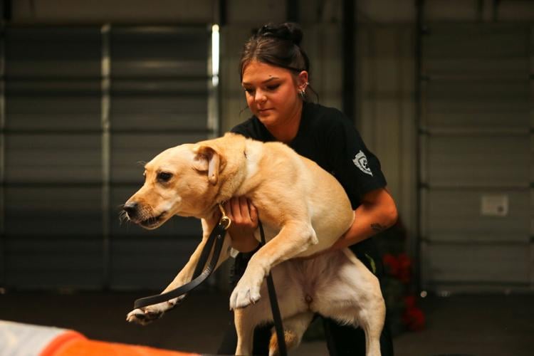 MacKenzie Rogers: The Oxford Police Department’s first female K9 ...