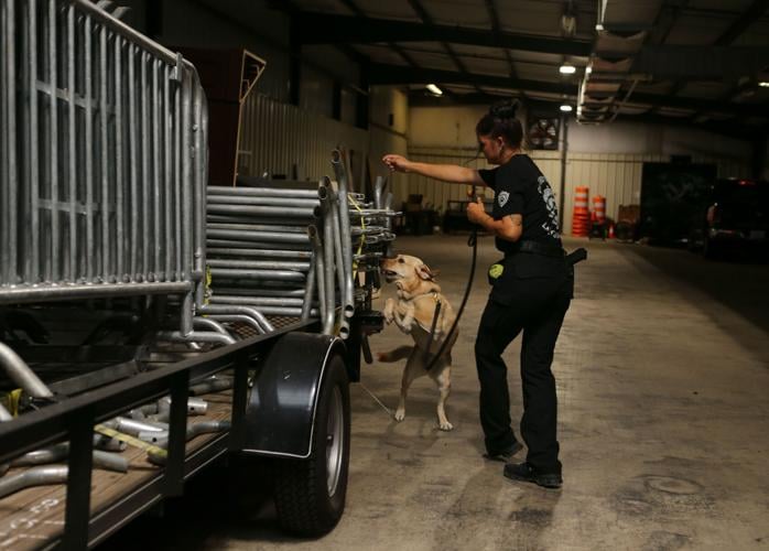 MacKenzie Rogers: The Oxford Police Department’s first female K9 ...