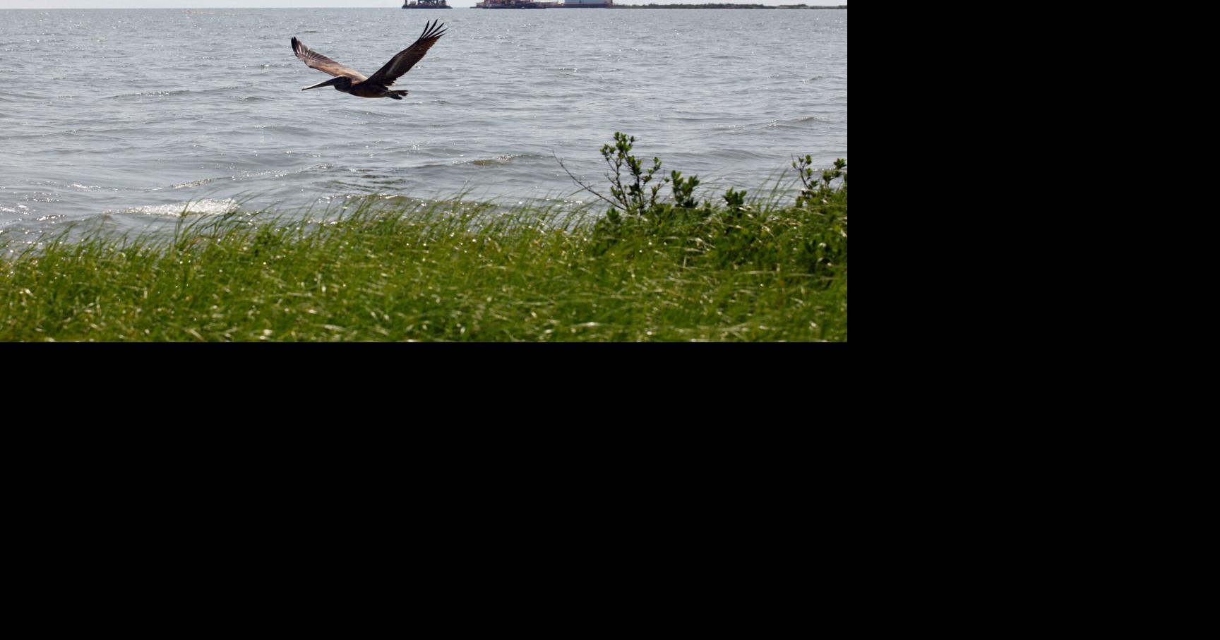 Record $9.6 million fine for Third Coast after substantial oil spill in ...