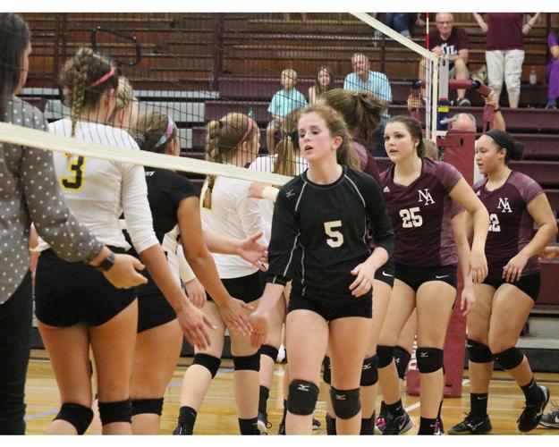 New Albany tames the Tigers in volleyball action | New Albany Gazette ...