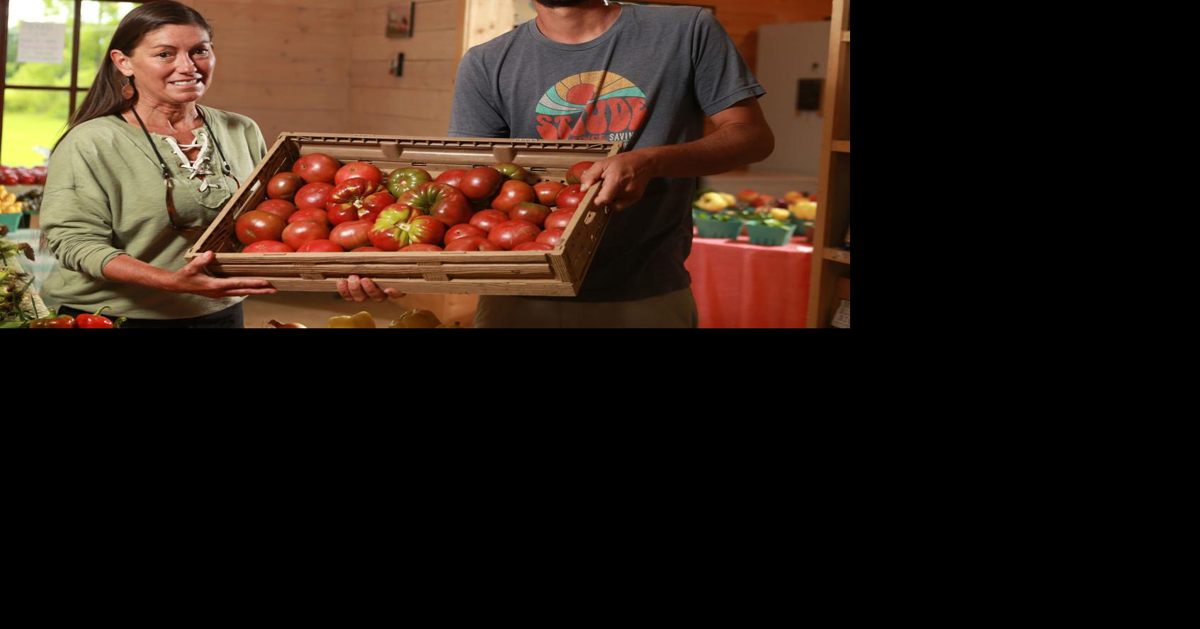 Native Son Farm has bumper crop of heirloom tomatoes | Food | djournal.com