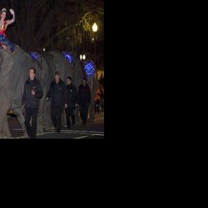 UPDATE: Elephant with circus shot in Tupelo | News | djournal.com