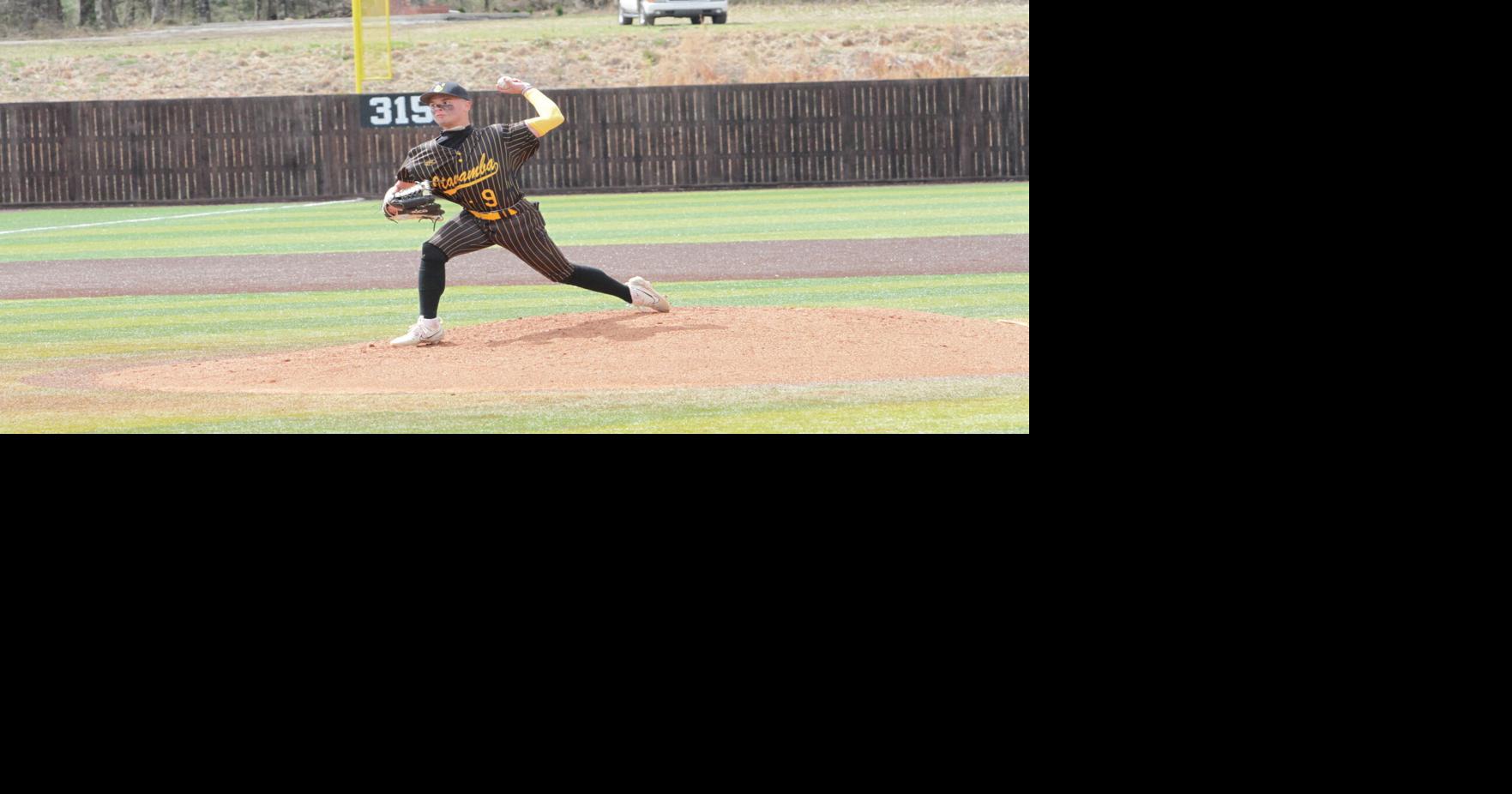 IAHS baseball looks to make deeper run in 2024 | Sports | djournal.com