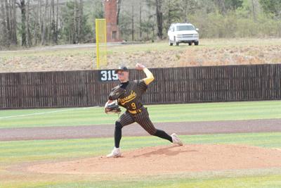 IAHS baseball looks to make deeper run in 2024 | Sports | djournal.com