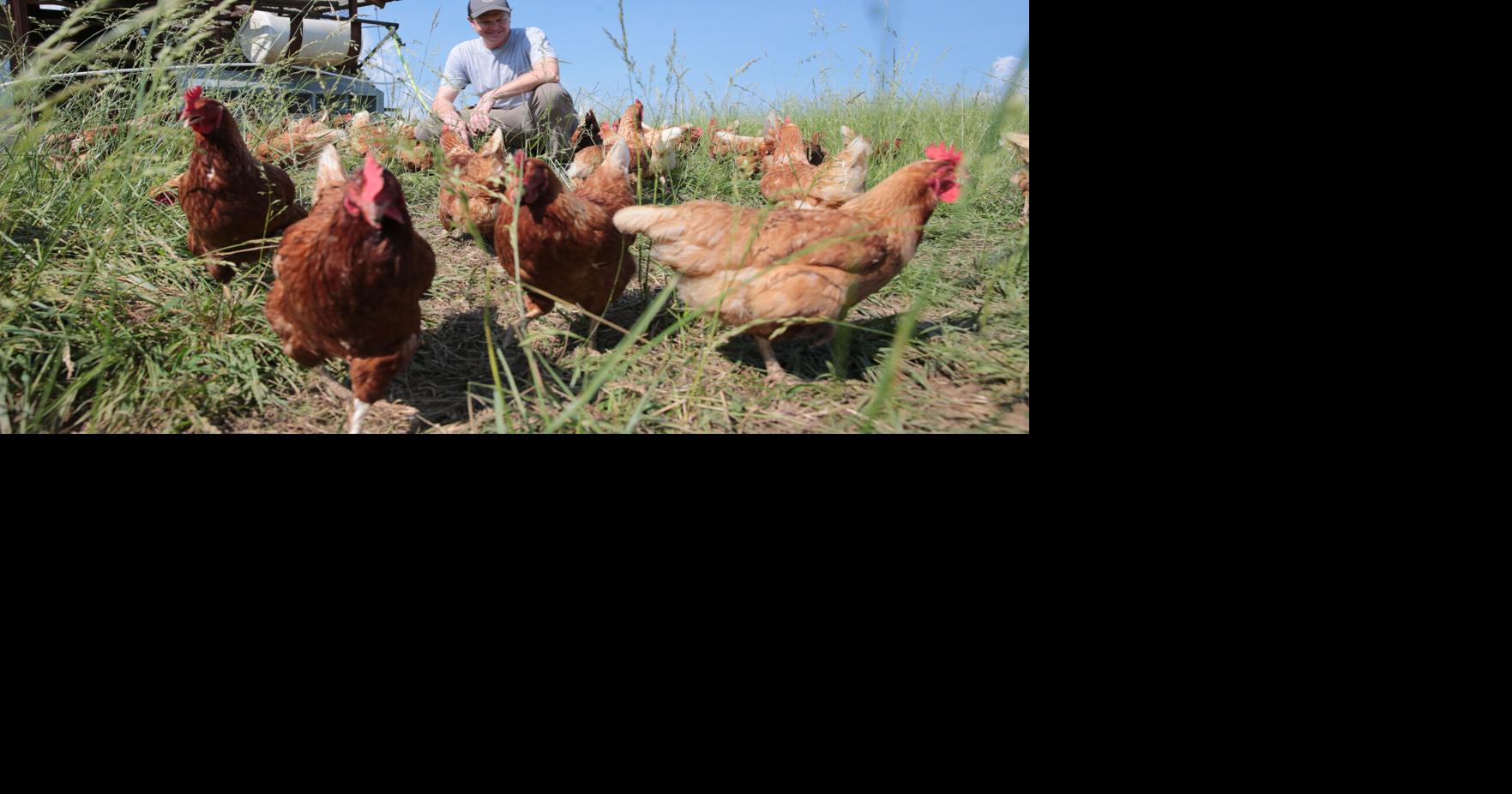 Home Place Pastures brings sustainably raised meat to tables across the ...