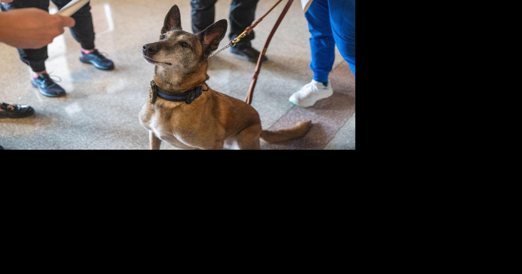 MSU Police Department celebrates K-9 retirement | Education | djournal.com