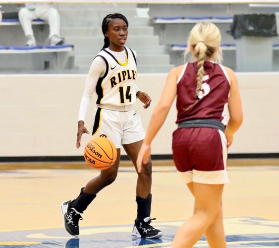 NEMBCA All-Star weekend features 15 local standout seniors | Sports ...