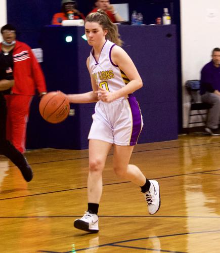 Lions, Lady Lions finish as state runnerups | Sports | djournal.com