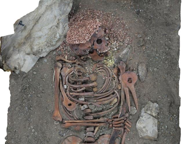 Research reveals Ice Age ‘Prince’ mauled by bear | News | djournal.com