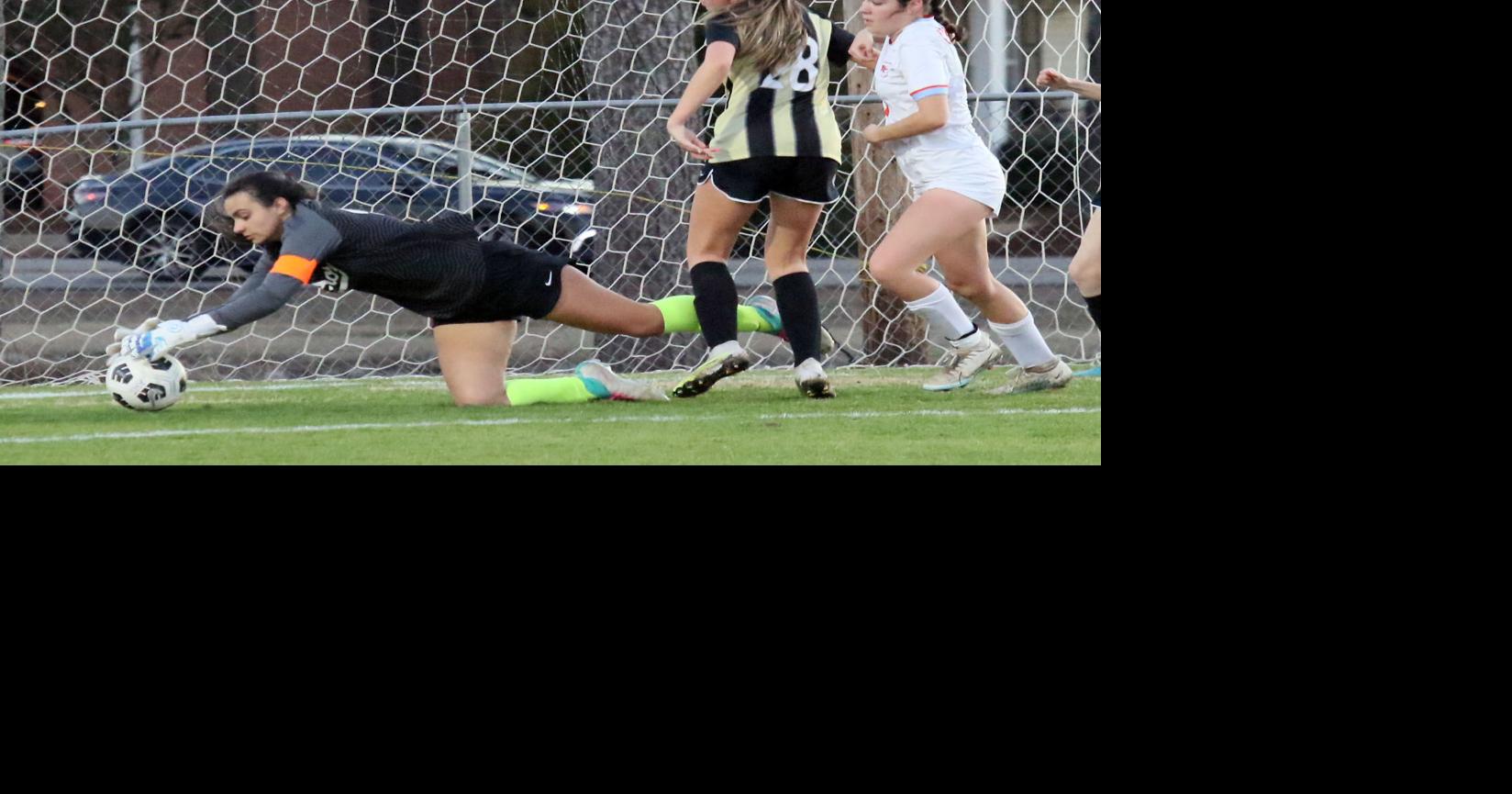 Soccer Panthers fall in second round of 4A playoffs | Sports | djournal.com