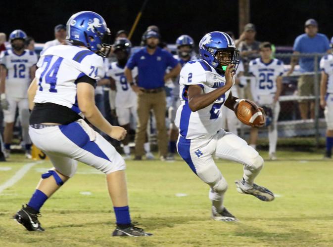 Gaining Steam: Lions roll past Seminoles in county rivalry game ...