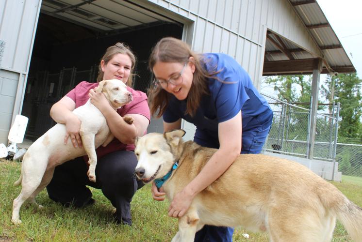 Amory Animal Resource Center aims to connect pets with loving owners ...