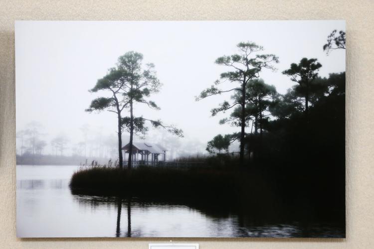 New Southern Light Photography exhibit open at Gumtree | Arts ...