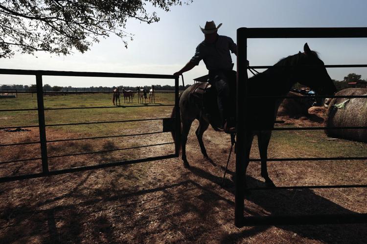 Extreme cowboy racer Vaudry Edge travels the South for competitions ...