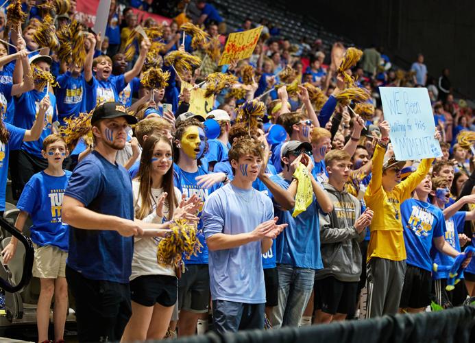 Booneville Lady Devils roll to 3A crown | High school Sports | djournal.com