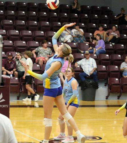 Lady Tigers nail Lady Noles in four-set win | Sports | djournal.com