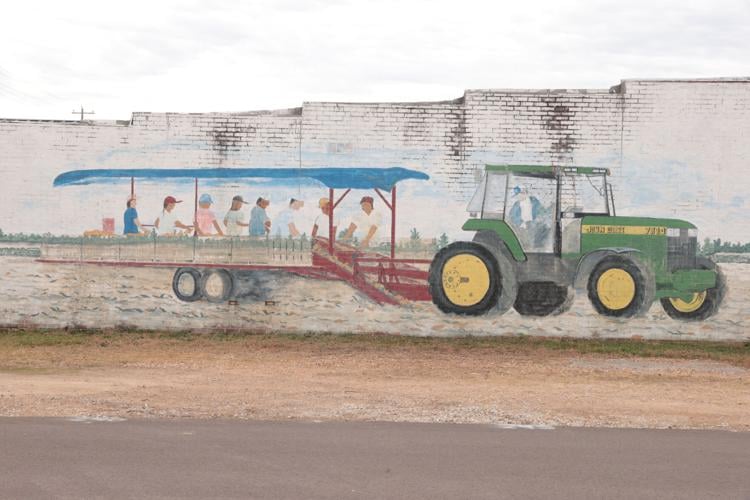 How Vardaman became the 'Sweet Potato Capital of the World' | Local ...
