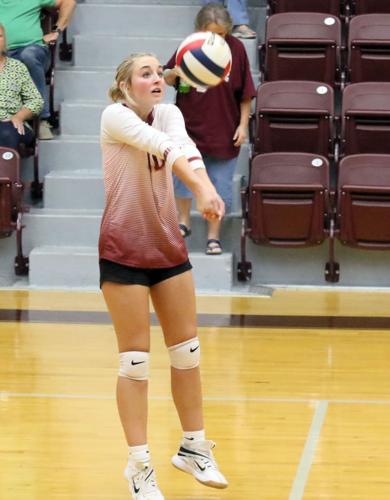 Lady Tigers nail Lady Noles in four-set win | Sports | djournal.com