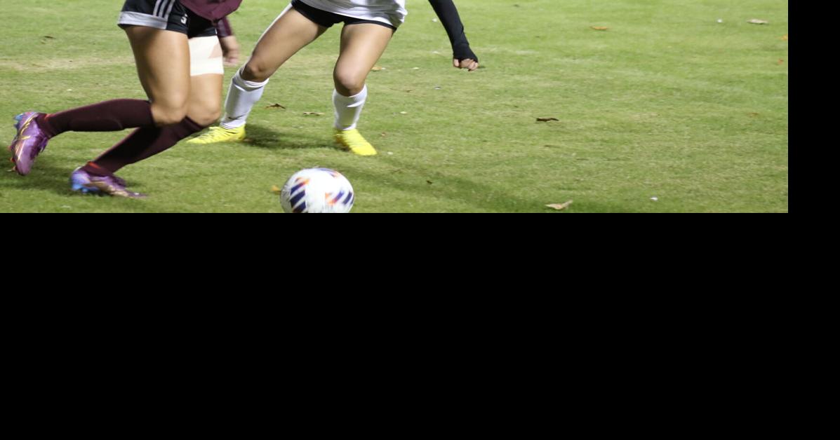Lady Panthers fall to New Albany on late PK goal | Sports | djournal.com