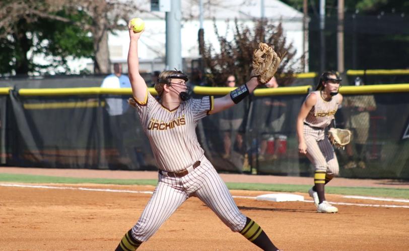 Local baseball, softball players receive All-Area recognition | Sports ...