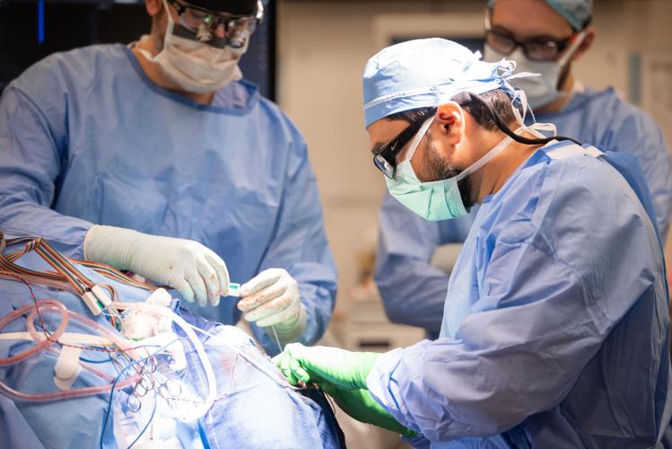 Brain mapping before and during tumor surgery provides better outcomes ...