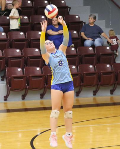 Lady Tigers nail Lady Noles in four-set win | Sports | djournal.com