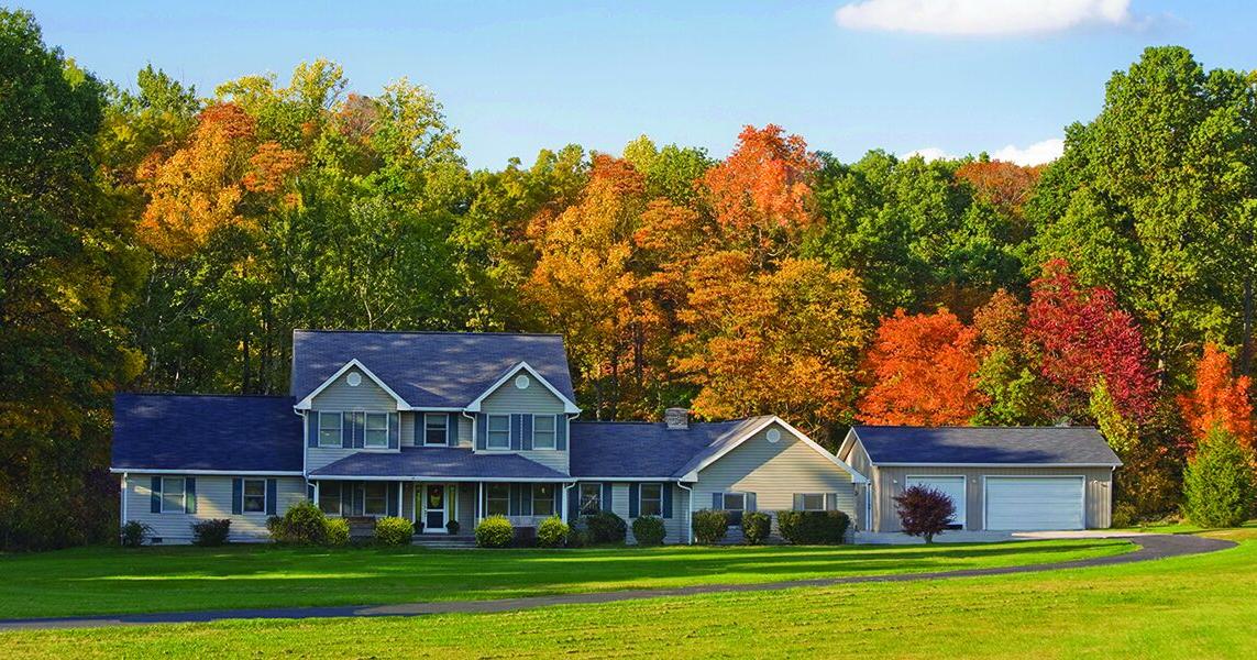 How trees and plants can change the look of a landscape | Home ...