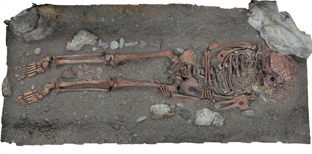 Research reveals Ice Age ‘Prince’ mauled by bear | News | djournal.com