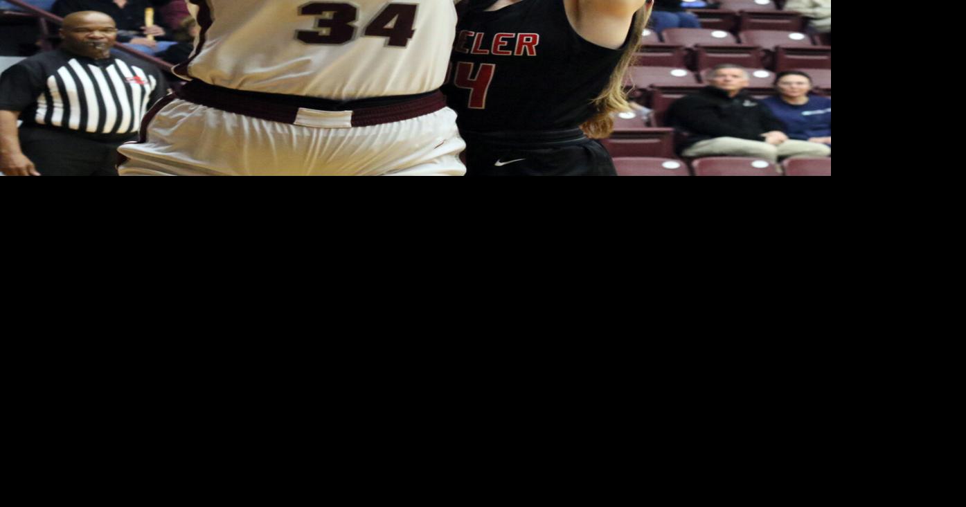 Lady Noles, Lady Panthers drop first-round games | Sports | djournal.com
