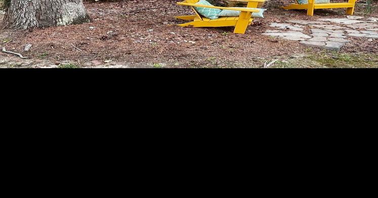 Three good options to cover exposed tree roots | Lifestyle | djournal.com