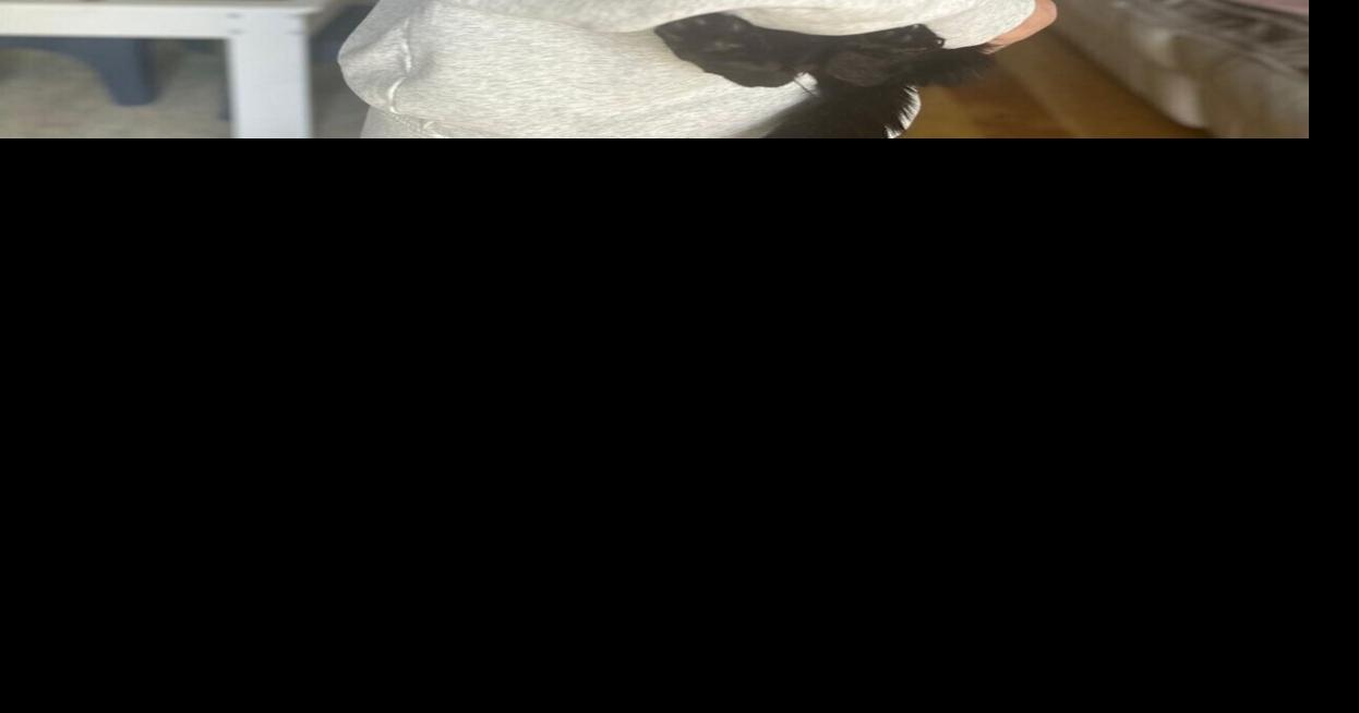 Lost cat reunited with owner 12 years after going missing | News ...