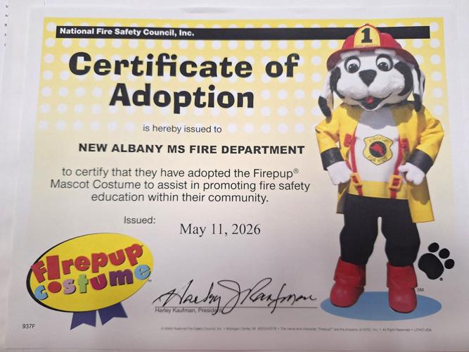 This pup can save your life: New Firepup mascot brings community fire ...