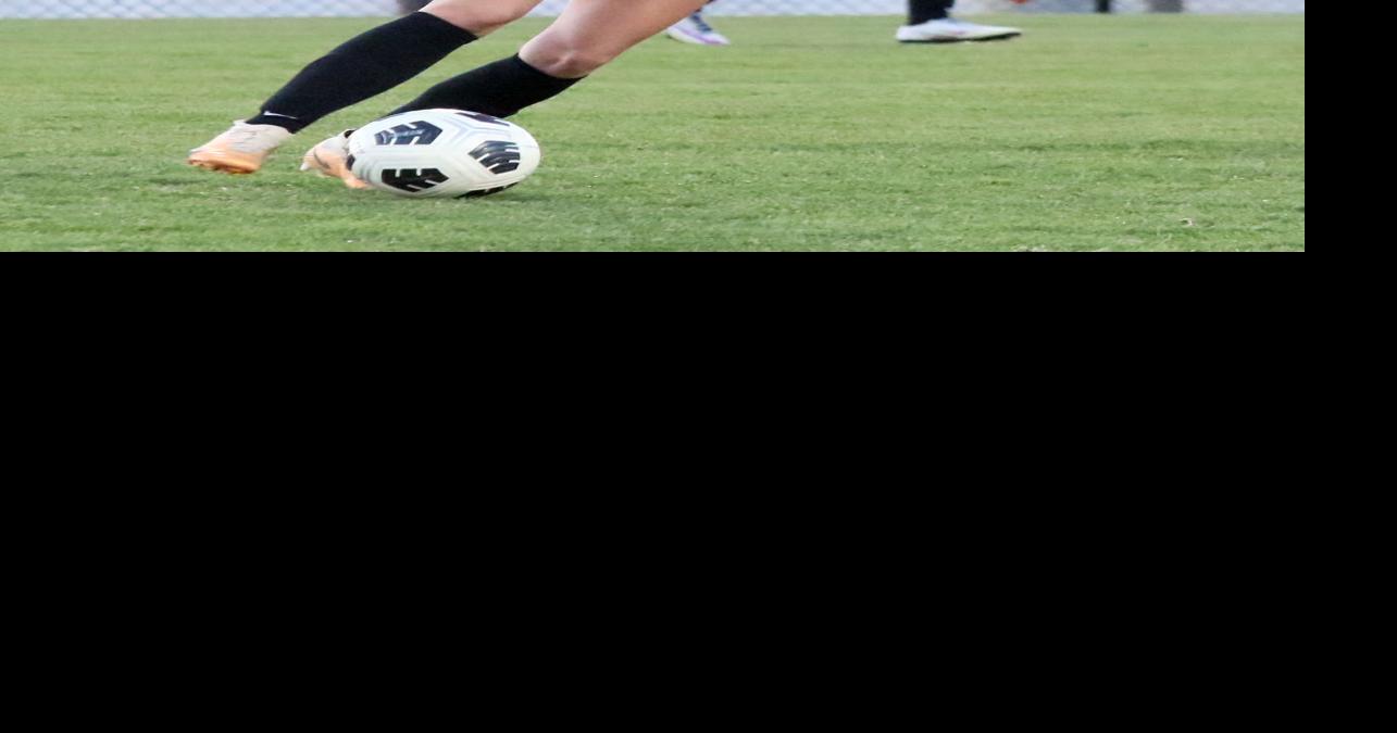 Lady Panthers shutout Shannon in third division win | Sports | djournal.com