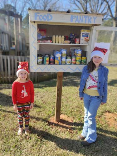 Dumas residents give back to community with Movie in the Park | News ...