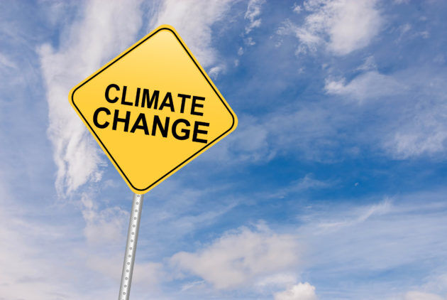 UN climate report: Change land use to avoid a hungry future ...