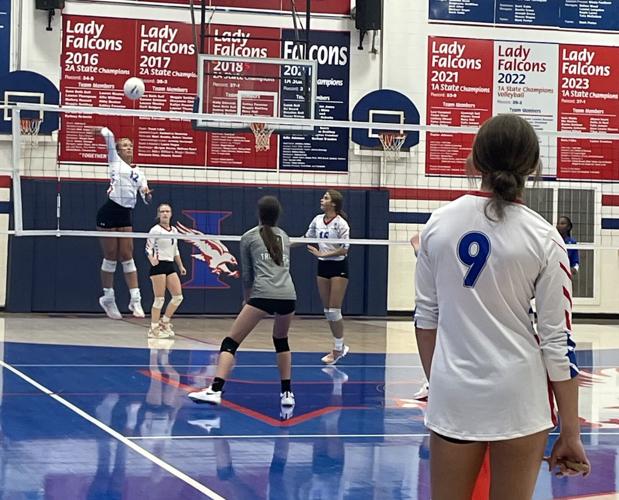 Wicker steps in to assist Ingomar at setter | Ingomar | djournal.com