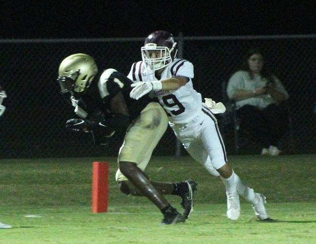 Panthers have solid showing on both sides in jamboree win | Sports ...