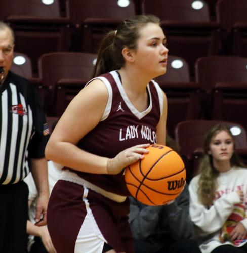 Lady Noles rally over Tremont to take third seed in Division 2-1A ...