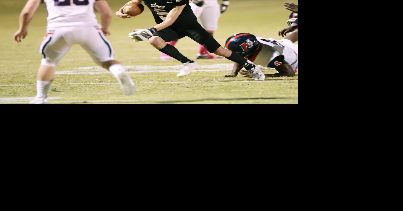 Panthers shut out Tigers to stay undefeated in Division 1-3A | Sports ...