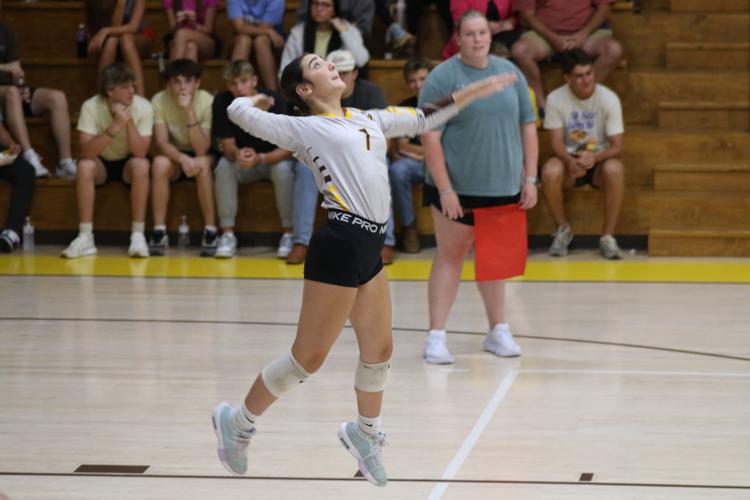 Roberson, Sherwood lead Lady Urchins to win over Saltillo | Sports ...