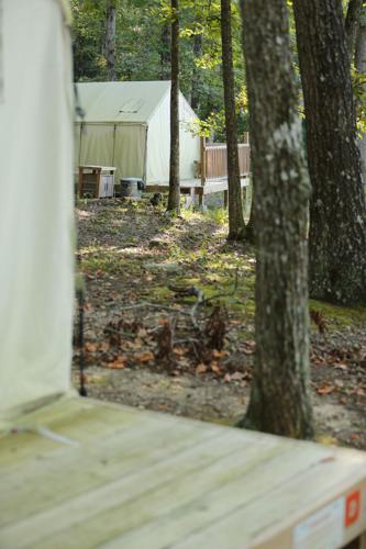 Tentrr redefines camping, offers adventurers a comfortable stay in the ...