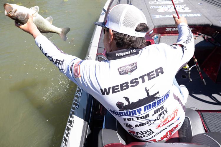 Webster leads Rookie of the Year points race | Sports | djournal.com