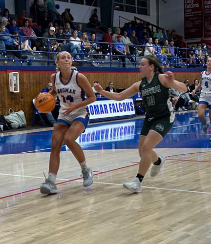 Falcons pace too fast for Troopers | Sports | djournal.com