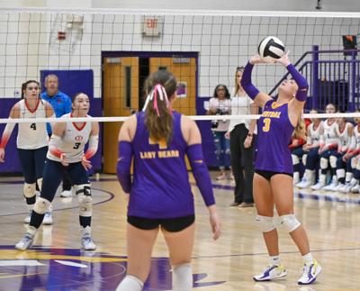 MHSAA volleyball championships | High school Sports | djournal.com